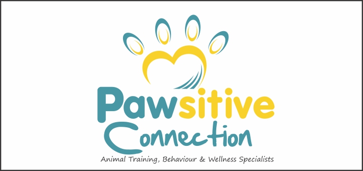 Make A Pawsitive Connection – Pressplay Pets