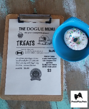 The Velo Project – Pressplay Pets