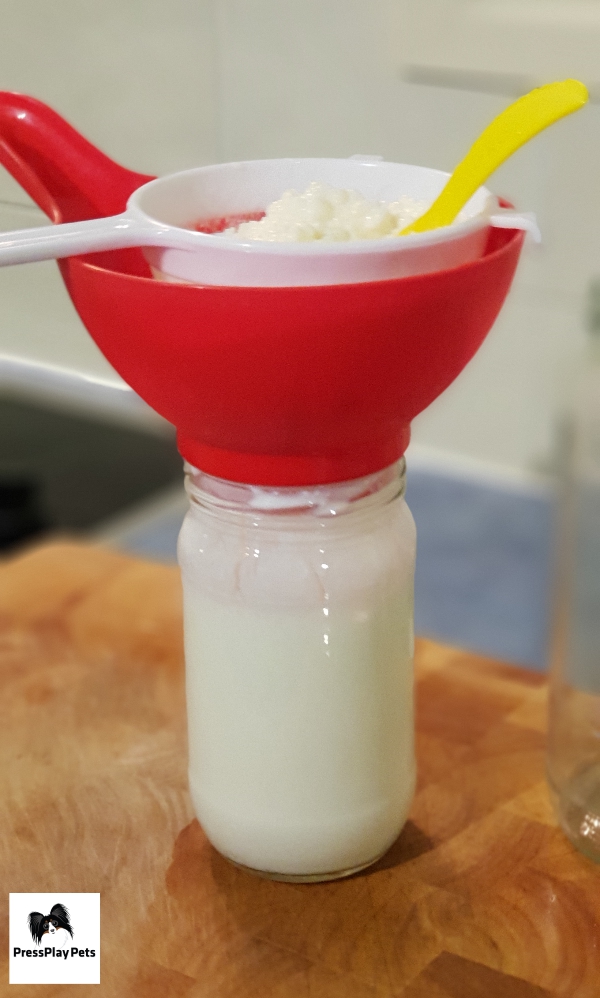 The Health Benefits Of Kefir – Pressplay Pets